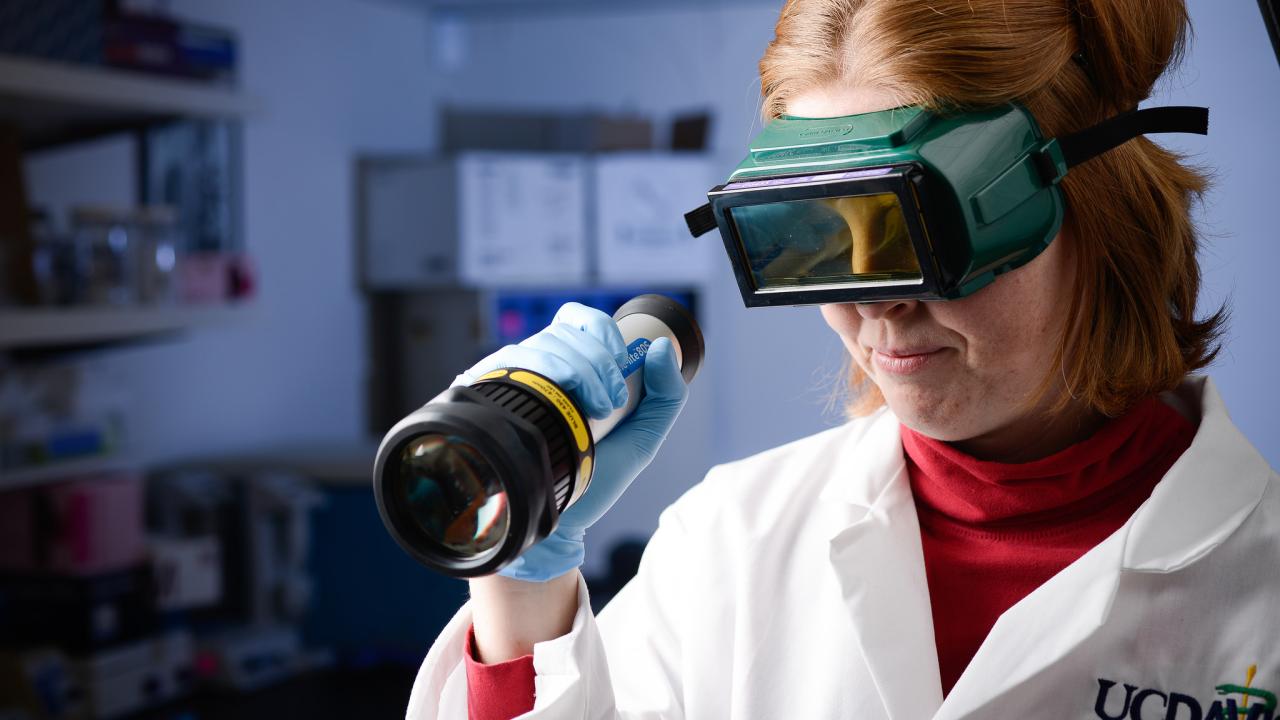 Veterinary Genetics Laboratory - Forensics