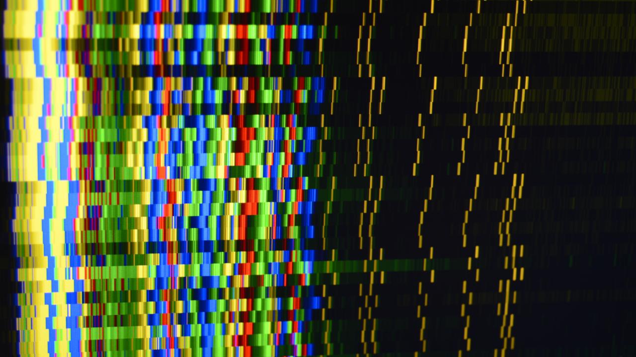 Veterinary Genetics Laboratory - STRand Analysis Software